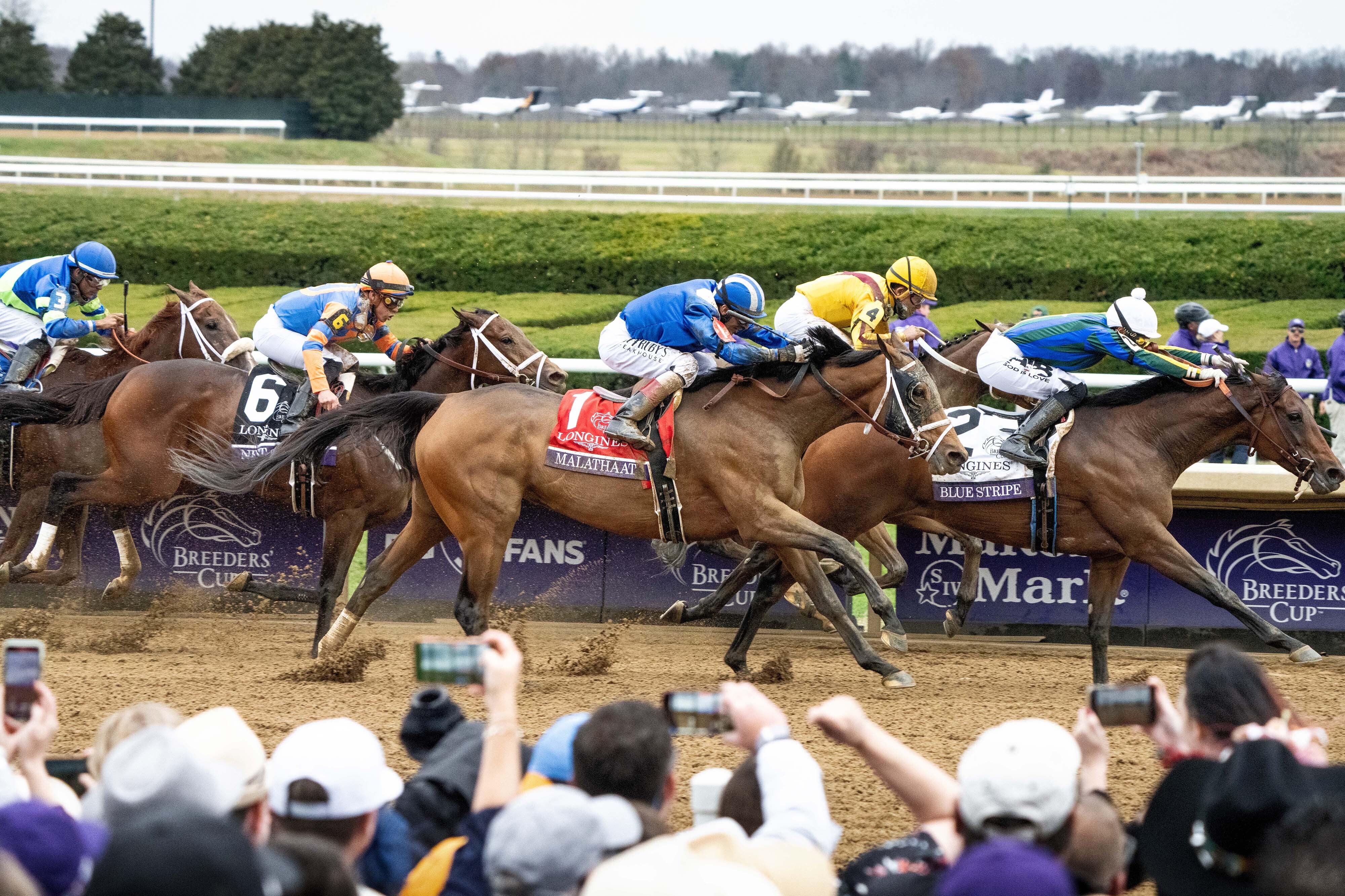 A Wonderful Day at Breeders' Cup – Tom Beckbe