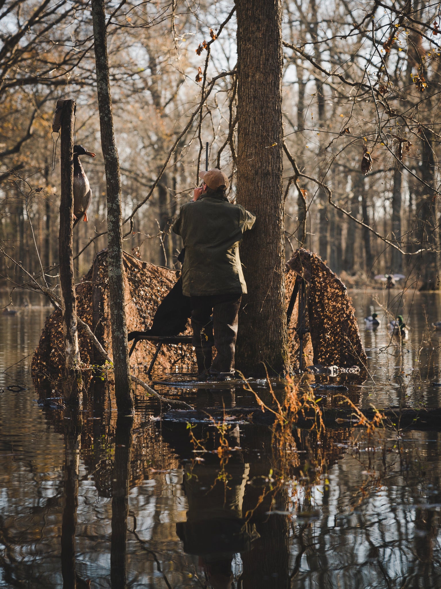 Flooded Timber – Tom Beckbe