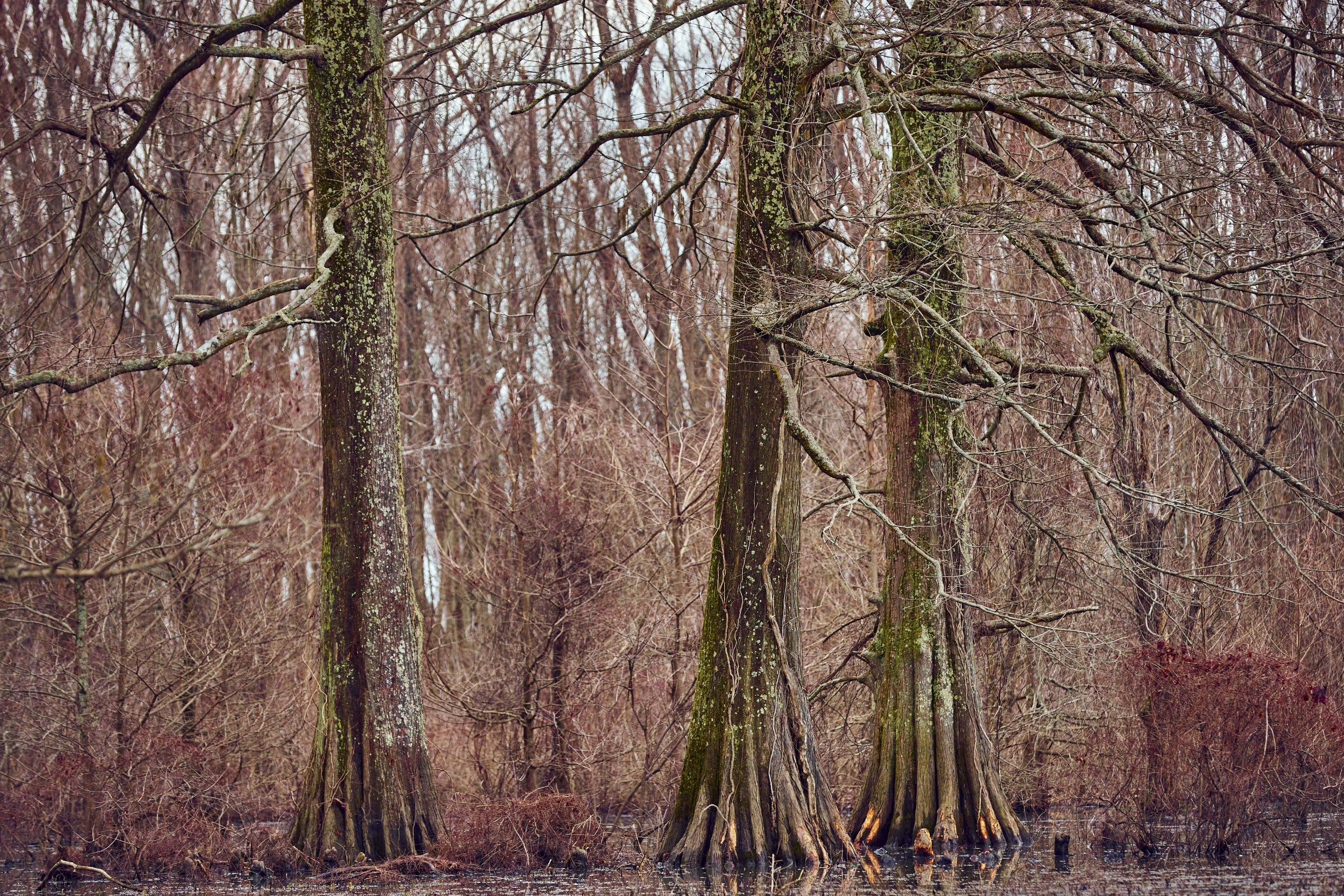 Waterfowlers: Three Ways to Make the Most of the Off Season – Tom Beckbe