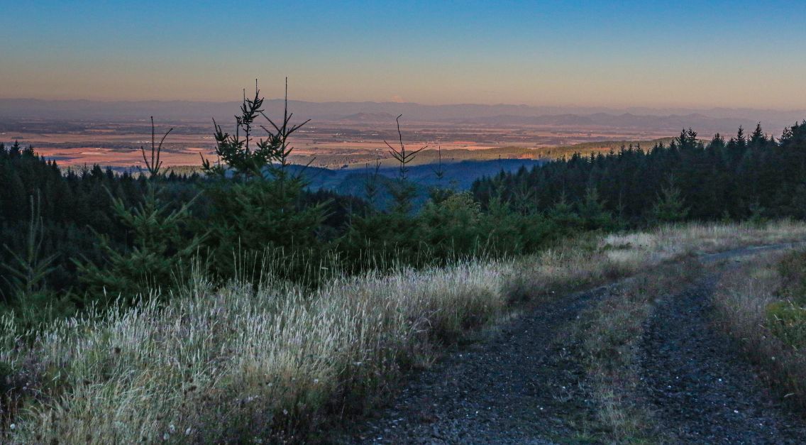 Firsts – Tom Beckbe