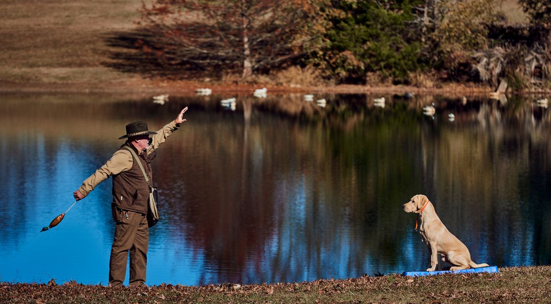 That Dog’ll Hunt, but Will She Fish?: Selecting and Training a Compani ...
